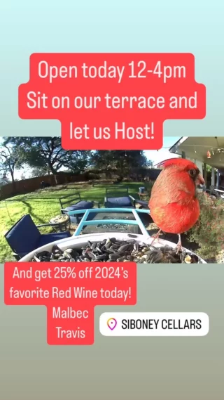 Home - Siboney Cellars